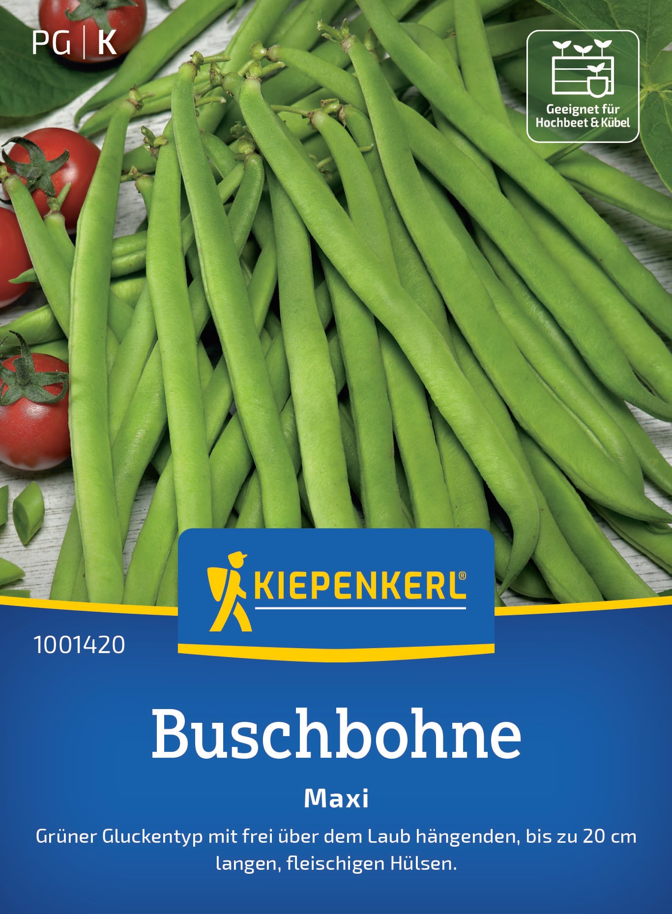 Bohnen aussäen, anbauen und ernten